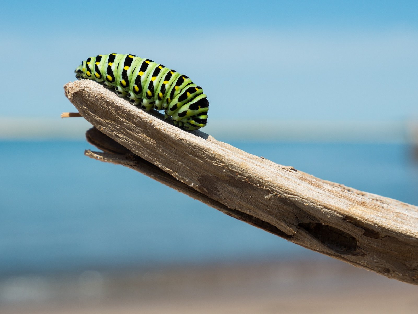 ENTERING A NEW PHASE OF LIFE IN AN AGE OF UNCERTAINTY - Unworldly Being